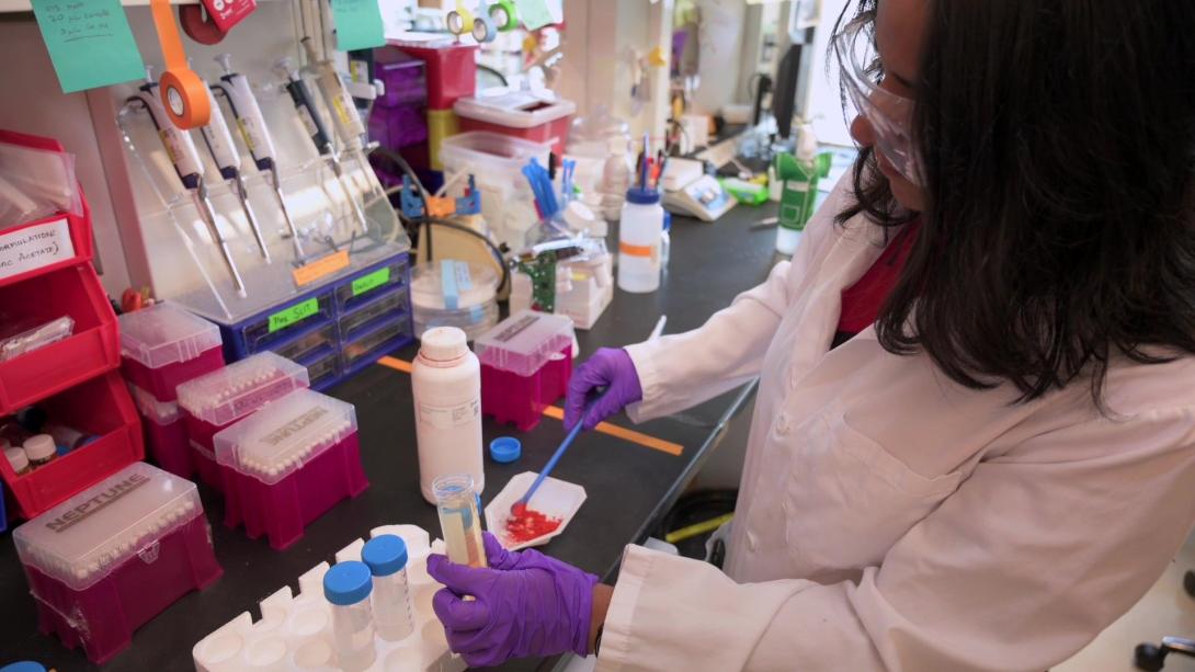 Extension of your J-1 Status | International Scholars Office