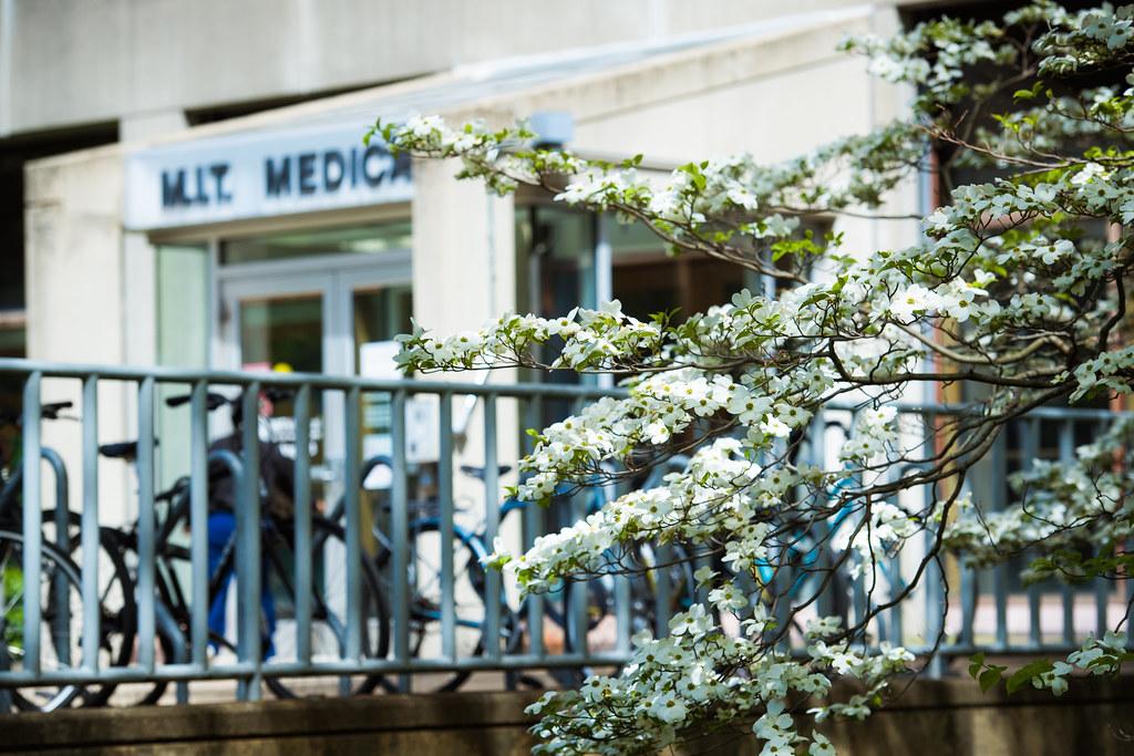 Health Insurance Choices | International Scholars Office